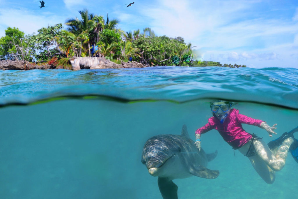 Wonderland Roatan Tours – Hotels and Resorts, Tours and Transportation ...
